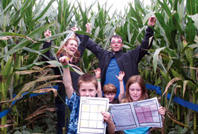 Maize Quest Corn Mazes and Attractions
